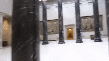 Kansas City Public Library GIFs - Find & Share on GIPHY