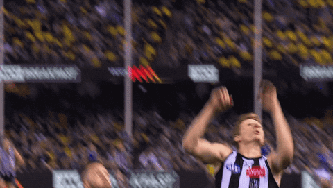 Mark Afl GIF by CollingwoodFC - Find & Share on GIPHY