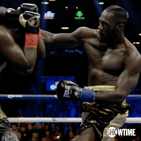 Sport Boxing GIF by SHOWTIME Sports - Find & Share on GIPHY