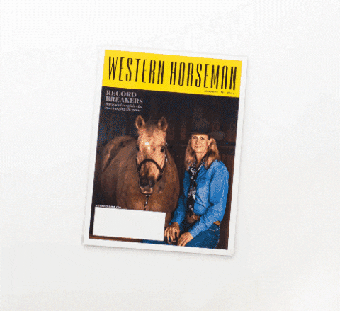 Western Horseman GIFs on GIPHY - Be Animated