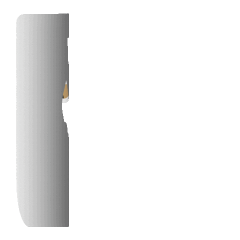 BitoStudio GIFs on GIPHY - Be Animated