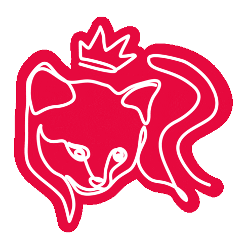 IDENTIFICATION GIFs - Find & Share on GIPHY