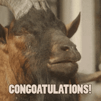 Congrats Funny Gif