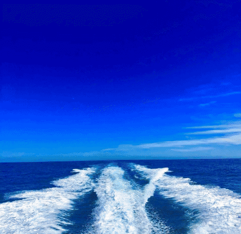 Boats Boating GIF - Find & Share on GIPHY