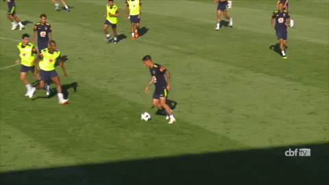 Selecao Brasileira GIF by Confederação Brasileira de Futebol - Find ...