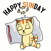 Sunday Cat