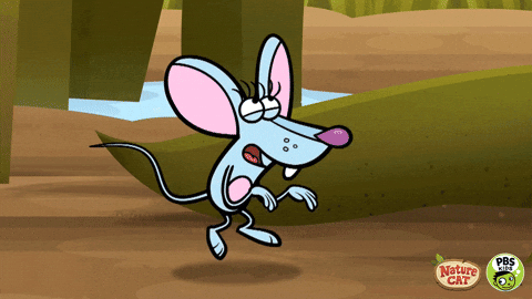 Quiet As A Mouse GIFs - Get the best GIF on GIPHY