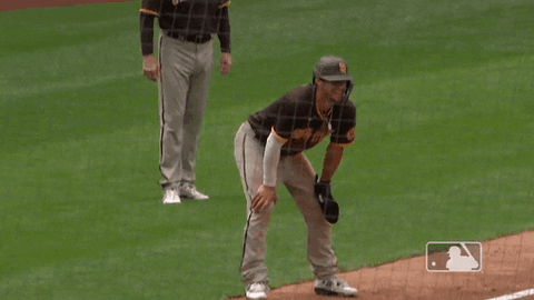 Baseball Safe Gif
