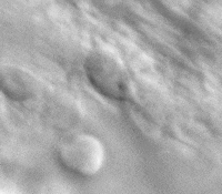 Best neuron GIFs - Primo GIF - Latest Animated GIFs