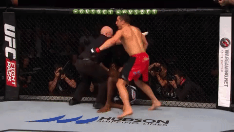 Ufc Champ GIFs - Get the best GIF on GIPHY