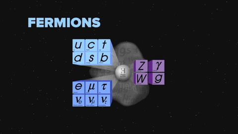 Fermions GIFs - Get the best GIF on GIPHY