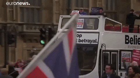 Brexit GIF by euronews - Find & Share on GIPHY