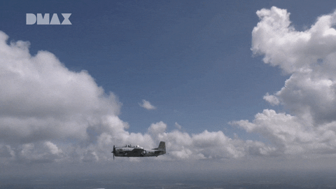 Fly Flying GIF - Find & Share on GIPHY