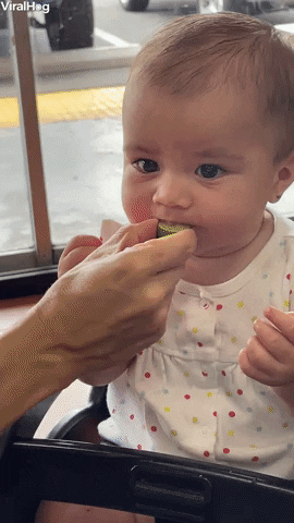 Baby Eating Lemon Gif