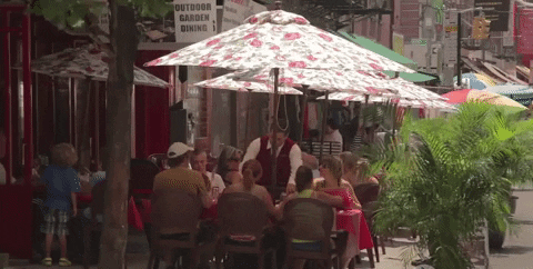 New York Luau GIFs - Get the best GIF on GIPHY