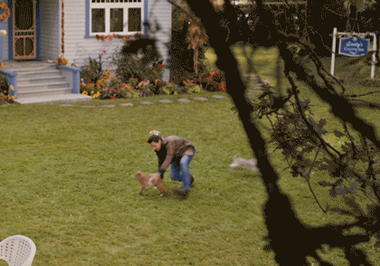 Chasing Goats GIFs - Get the best GIF on GIPHY