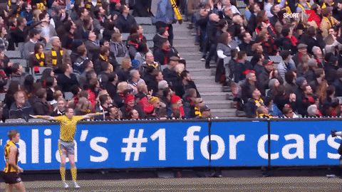 Sport Yes GIF by Essendon FC - Find & Share on GIPHY