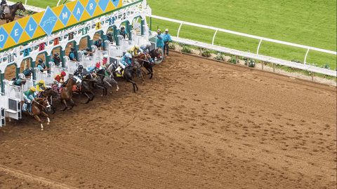 Funny Horse Racing Gif