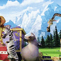 Madagascar Marty Gif
