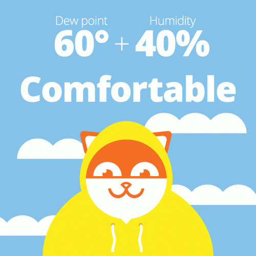 Dew Point GIFs - Get the best GIF on GIPHY