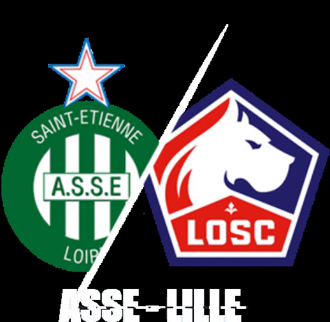 Losc Lille GIFs - Get the best GIF on GIPHY
