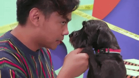 When I Talk To My Dog GIFs - Get the best GIF on GIPHY