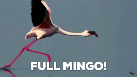Full-mingo GIFs - Get the best GIF on GIPHY