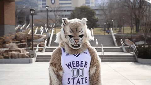 Weber State Joy GIF by Weber State University - Find & Share on GIPHY
