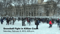 Muscle Gif Snowball Fight