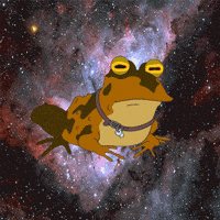 Hypnotic Frog Gif