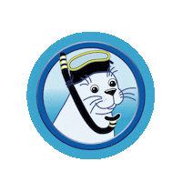 Old Town Trolley Tours GIFs on GIPHY - Be Animated