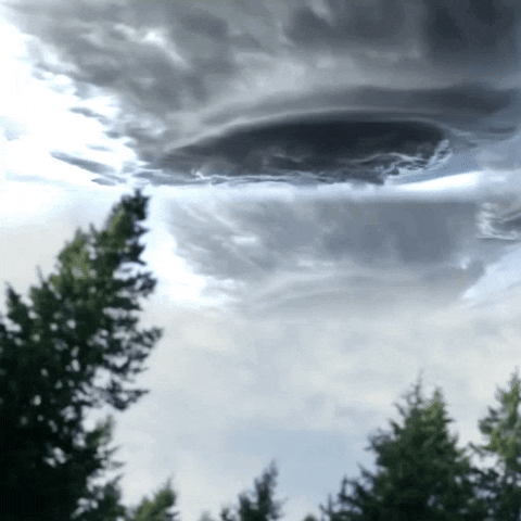 Alien Probe GIFs - Get the best GIF on GIPHY