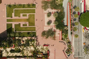 California GIFs - Find & Share on GIPHY