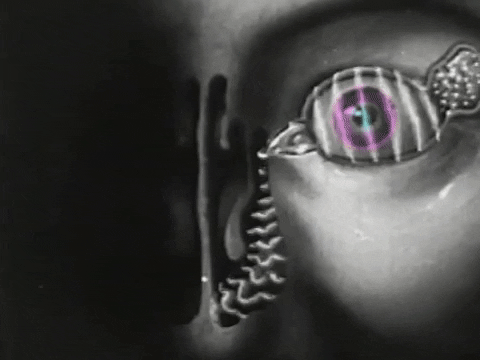 Eyes See GIF - Find & Share on GIPHY