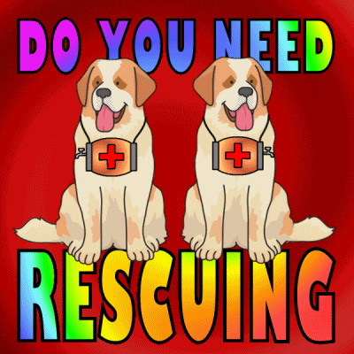 St Bernard Dog GIFs - Get the best GIF on GIPHY