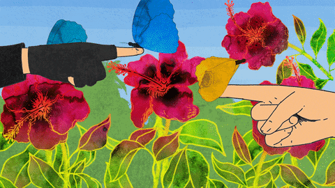 Pondicherry GIFs - Get the best GIF on GIPHY