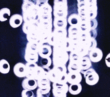 Transcription Service GIFs - Get the best GIF on GIPHY