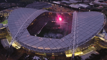Stadium Australia GIFs on GIPHY - Be Animated