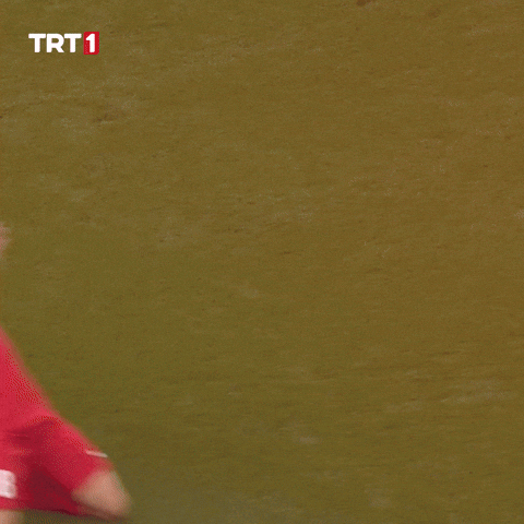 EURO 2024 by TRT | GIPHY