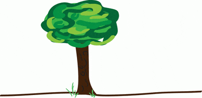 Tree Growing GIFs - Find & Share on GIPHY