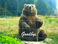 Bear Waving Goodbye Gif