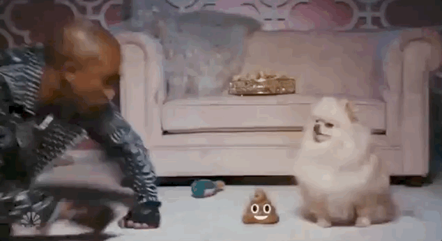 Dog Snl GIF by Saturday Night Live - Find & Share on GIPHY