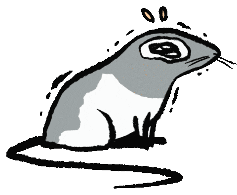 Scared Mouse Sticker for iOS & Android | GIPHY