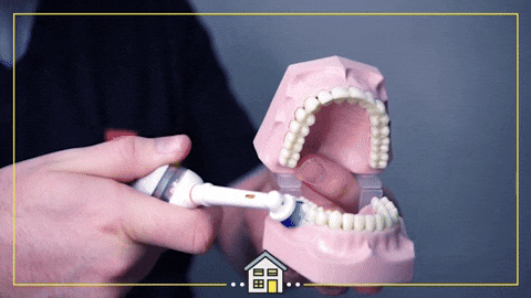 Teeth Brushing GIF by The Dental House - Find & Share on GIPHY