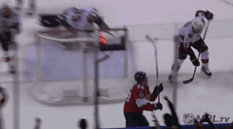 Celebrate Ice Hockey GIF by NHL - Find & Share on GIPHY