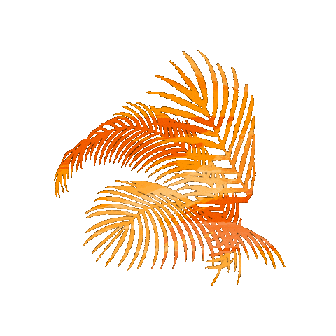 IfSS KIT GIFs on GIPHY - Be Animated