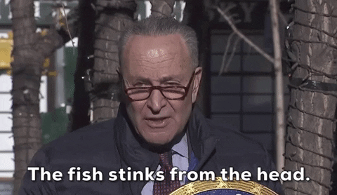The Fish Stinks From The Head GIFs - Get the best GIF on GIPHY