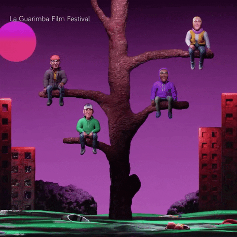 La Guarimba Film Festival GIFs on GIPHY - Be Animated