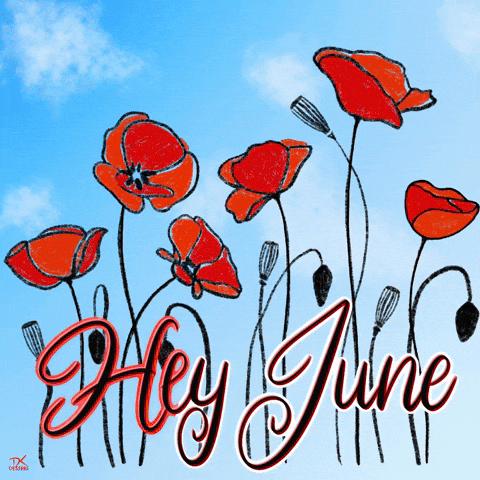 Summer June GIF - Find & Share on GIPHY