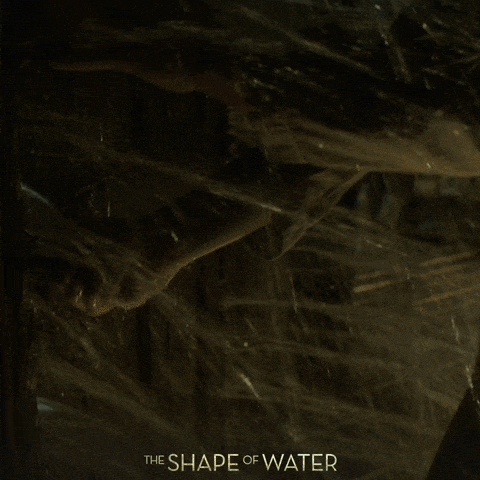 Flooded Room GIFs - Get the best GIF on GIPHY